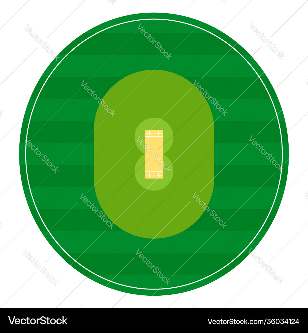 Cricket Field Layout Royalty Free Vector Image