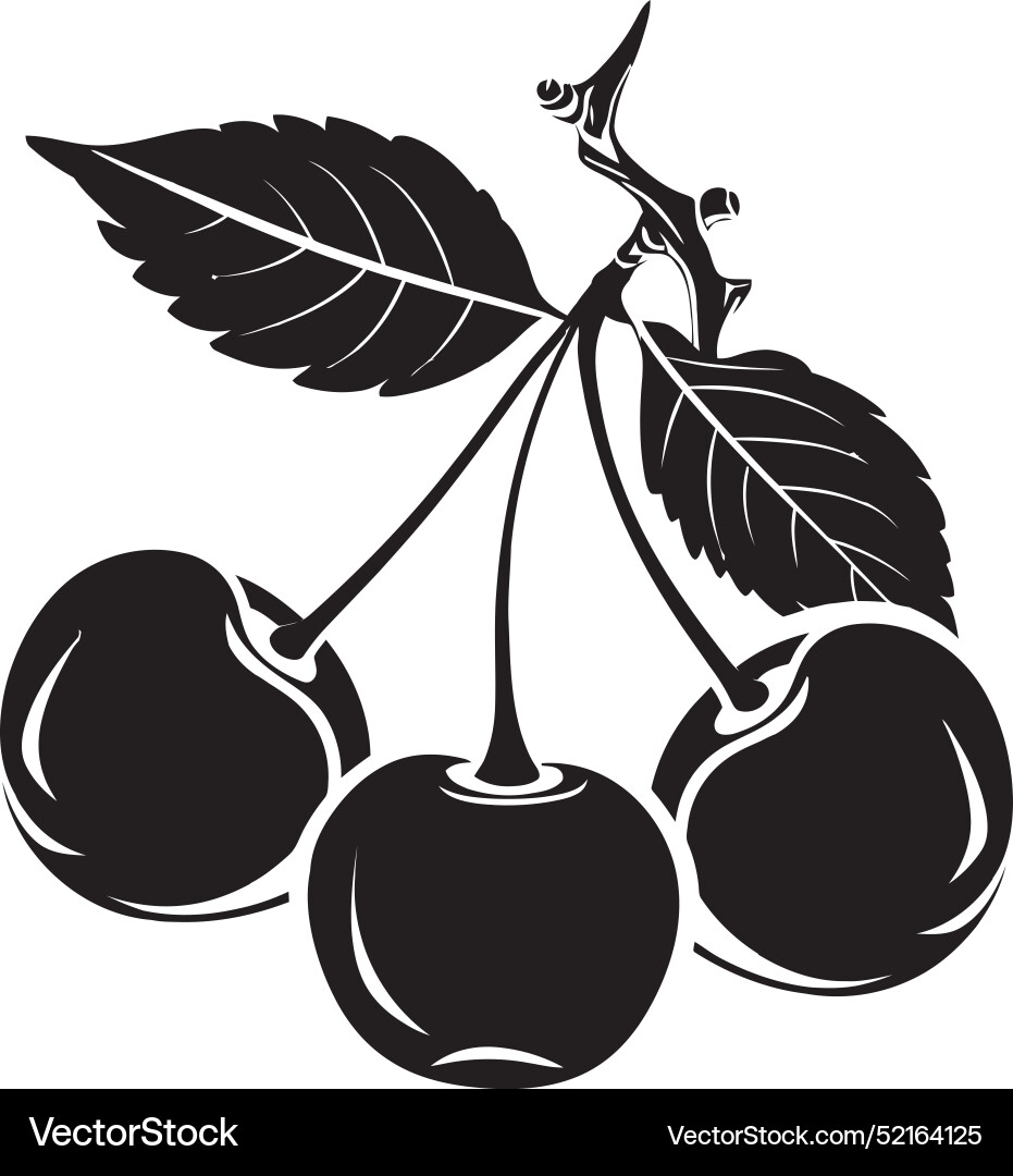 Cherry themed art and home decor flavor Royalty Free Vector