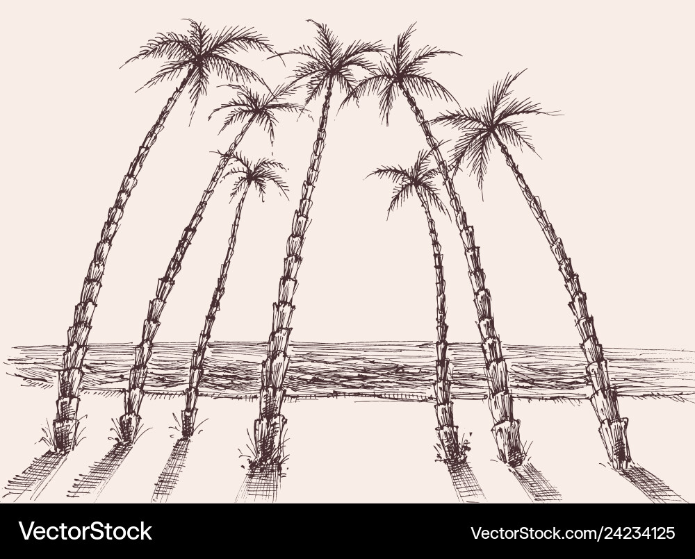 Palm trees beach sea view hand drawing Royalty Free Vector