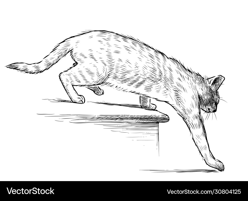 Sketch domestic cat walking down stairs Royalty Free Vector
