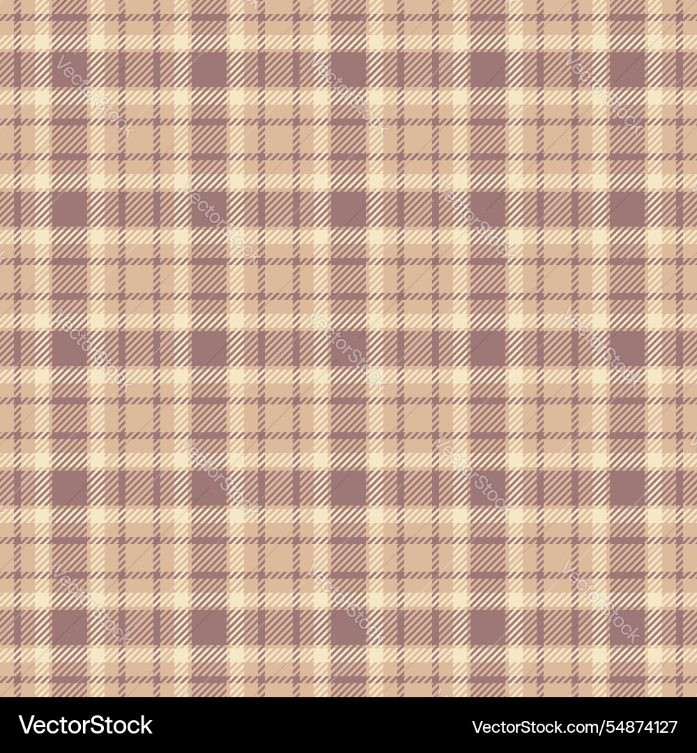Elegant neutral plaid pattern perfect for textile Vector Image