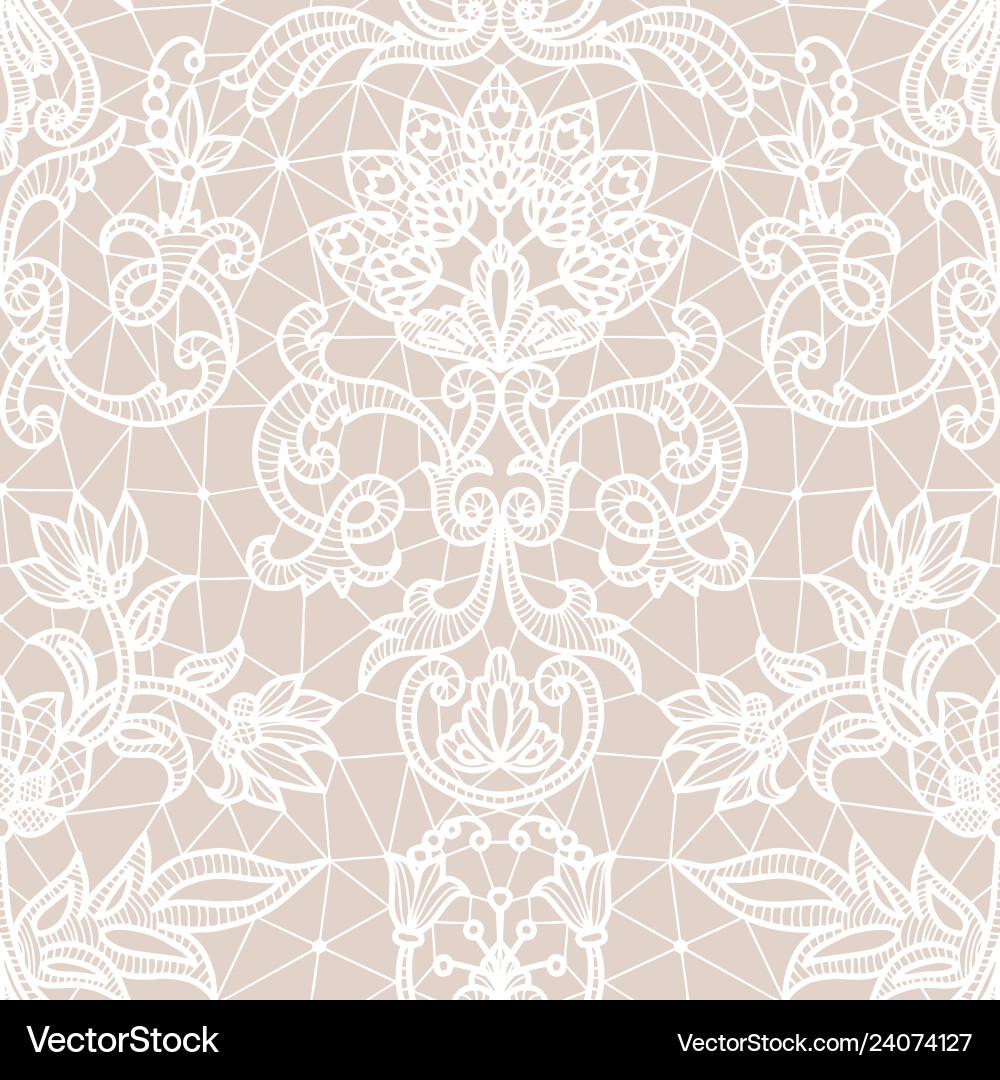 Seamless white lace Royalty Free Vector Image - VectorStock