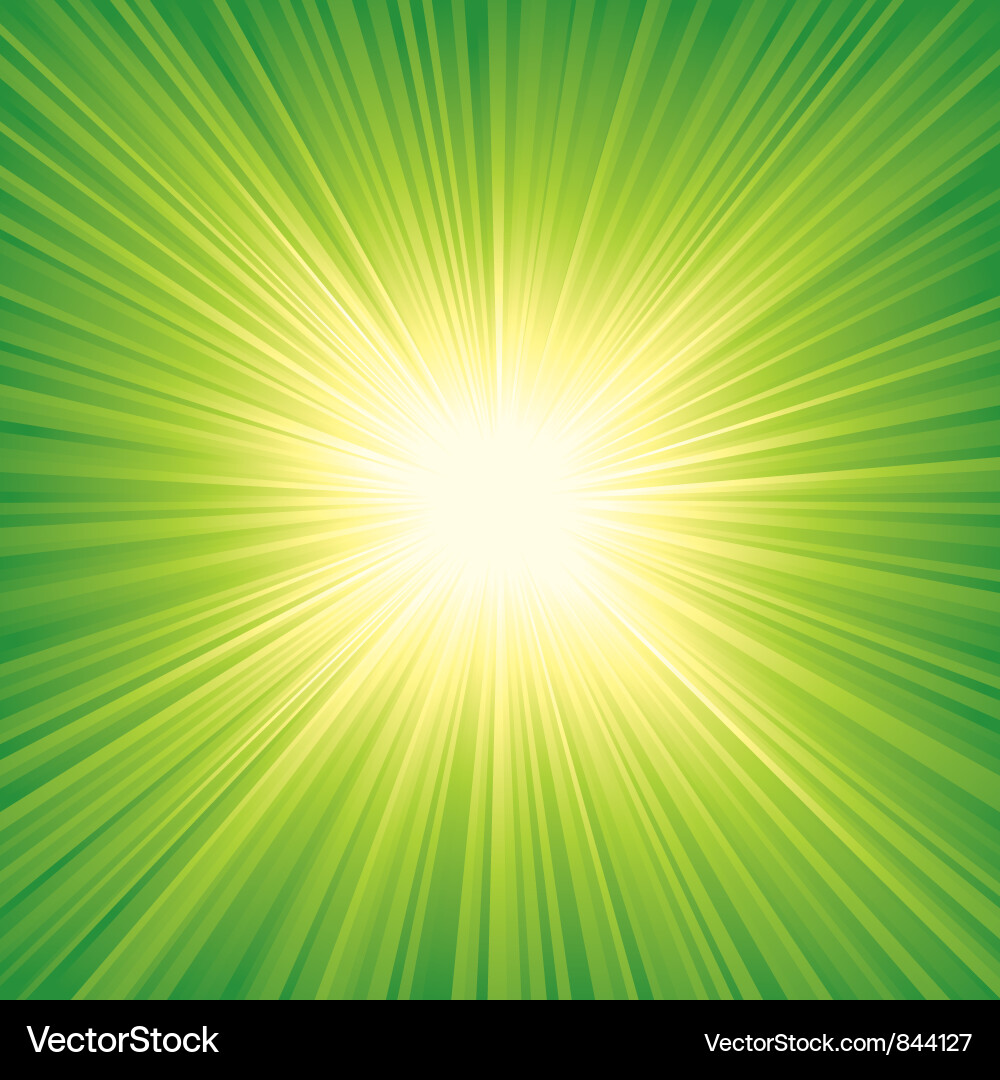 Starburst Royalty Free Vector Image - VectorStock