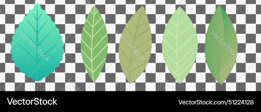 Set of leaves on a checkered background Royalty Free Vector