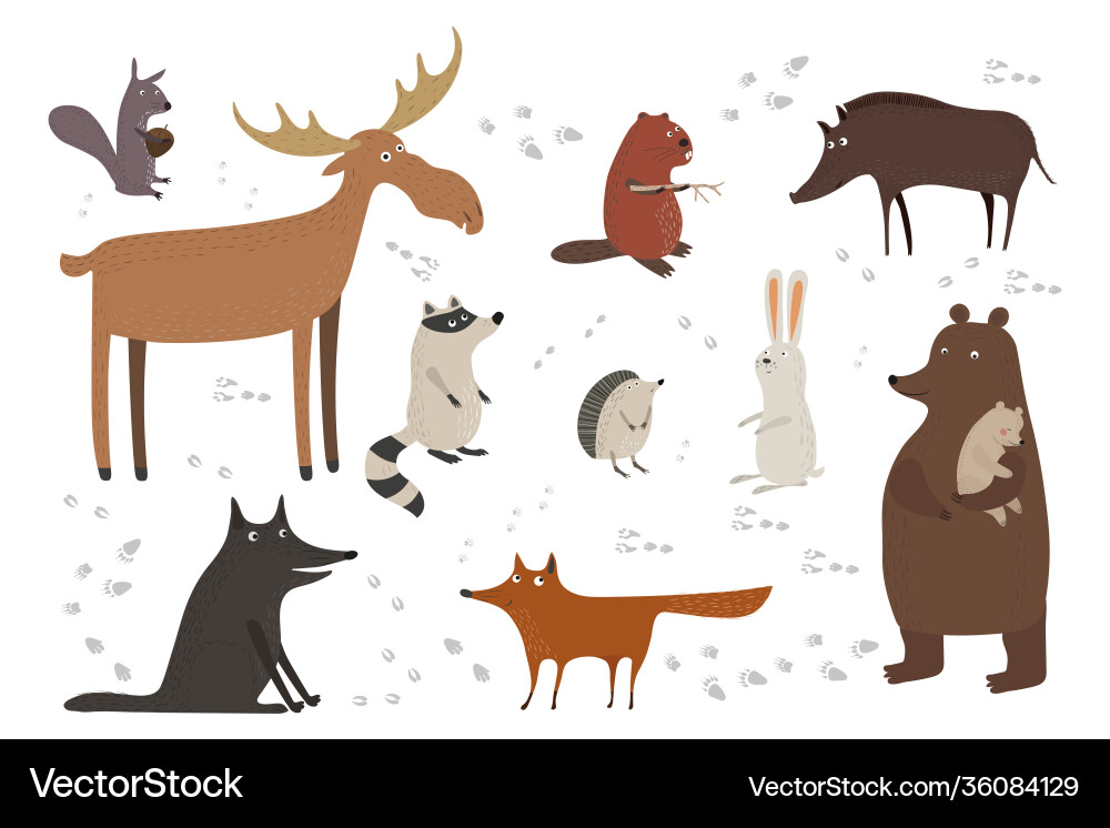 Set with forest animals in hand drawn style Vector Image