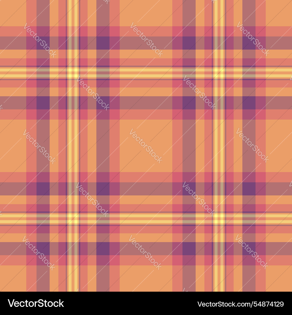 Warm-toned plaid pattern perfect for textile Vector Image