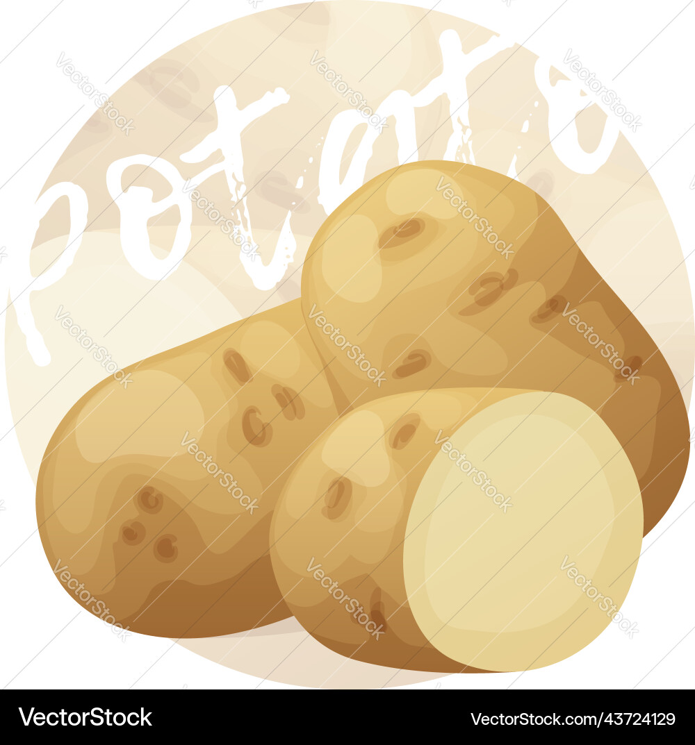 Whole and half potato vegetable cartoon Royalty Free Vector