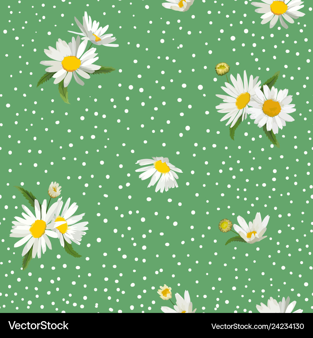 Floral seamless pattern with blossom daisy flowers