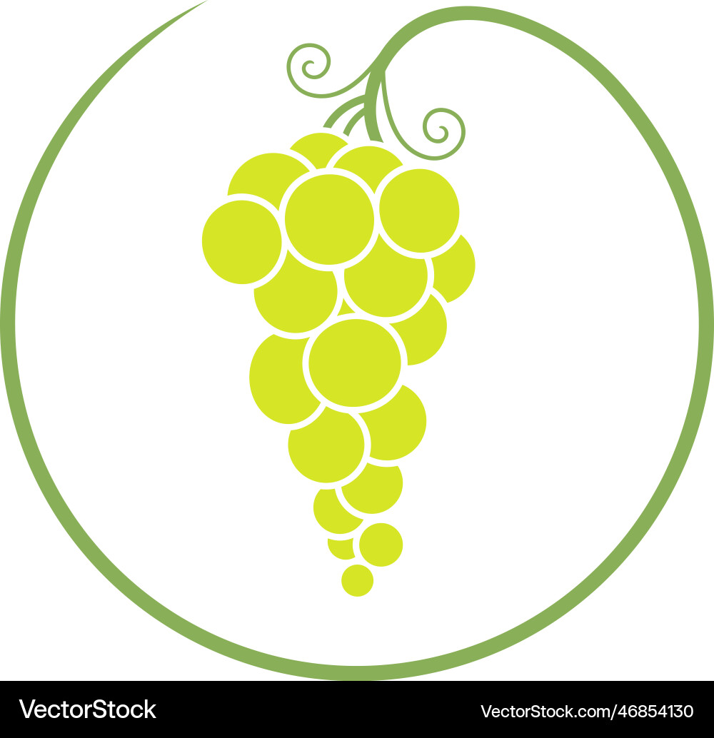 Grapes Royalty Free Vector Image - VectorStock