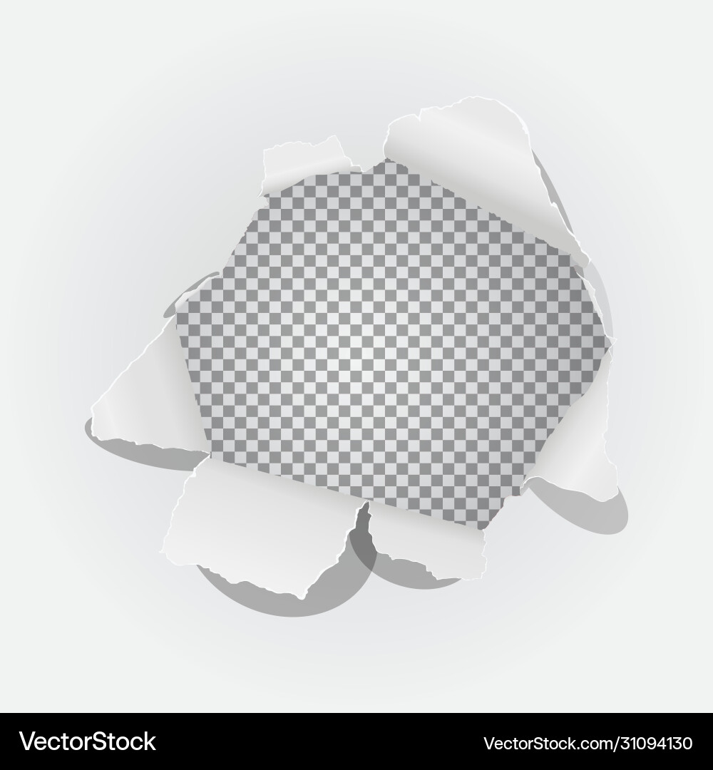 Torn paper cut effect isolated background Vector Image