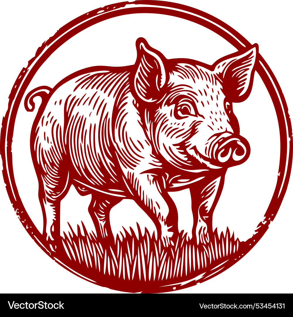 Beautiful classic hand drawing pig Royalty Free Vector Image