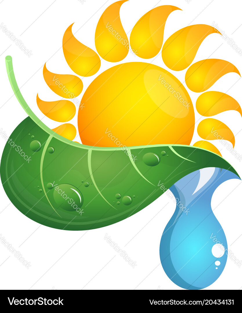 Green leaf and sun Royalty Free Vector Image - VectorStock