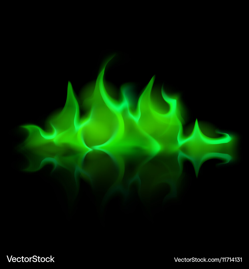 Green magic fire flame bonfire on background Vector Image