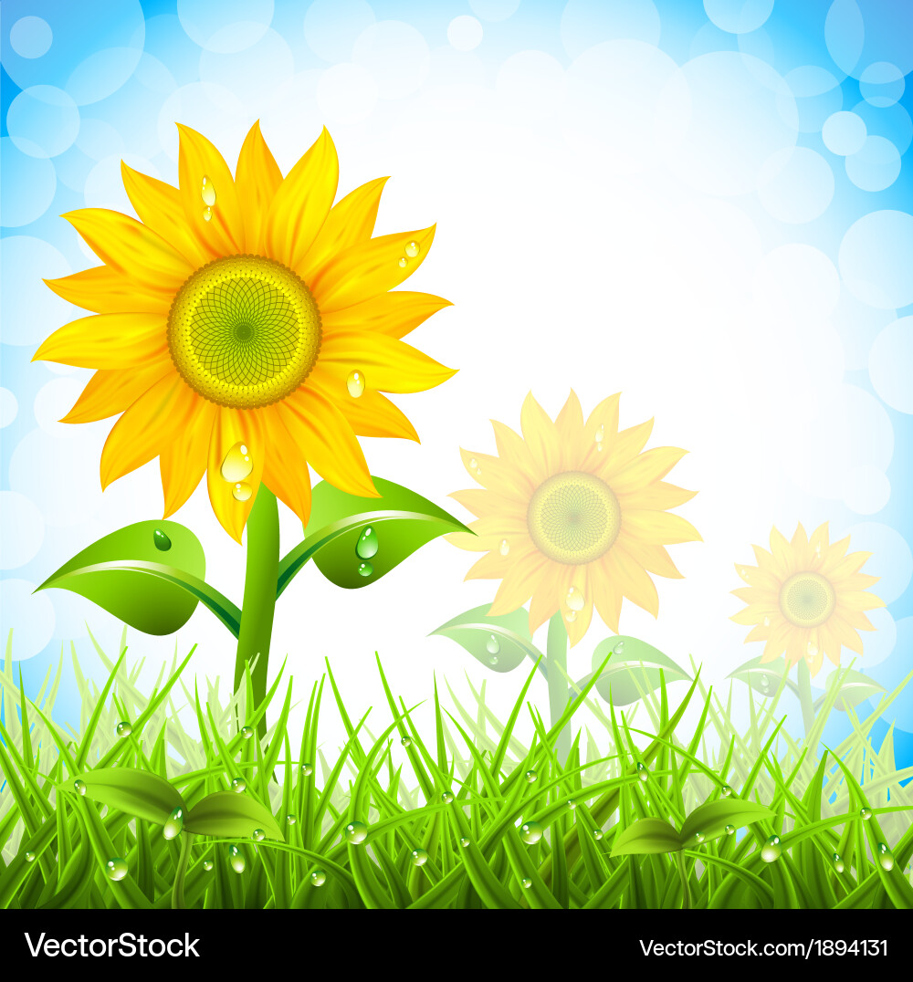 Landscape Royalty Free Vector Image - VectorStock