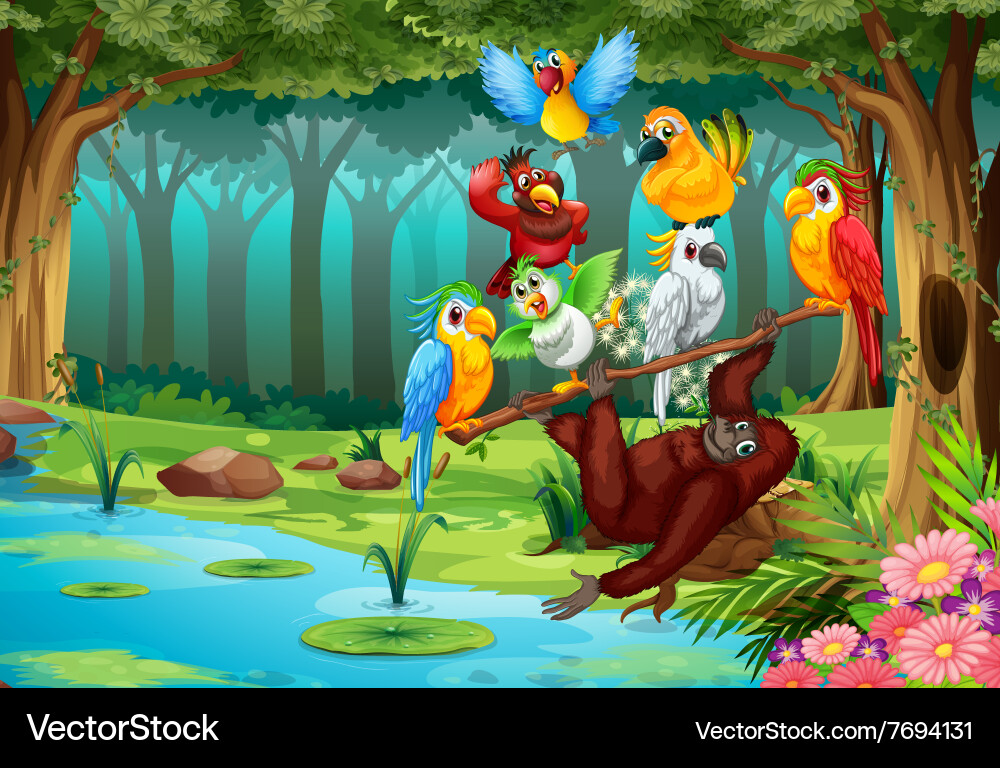Wild animals in the forest Royalty Free Vector Image