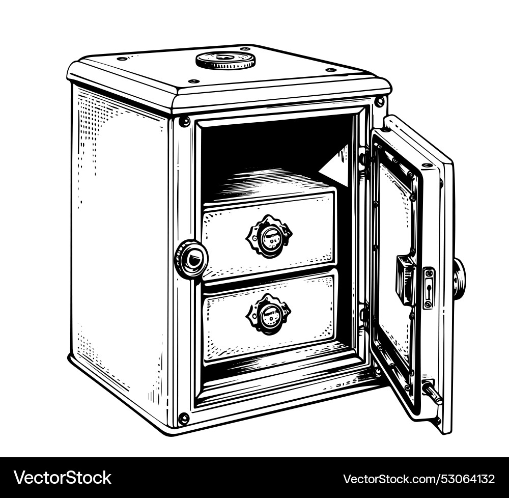 Safe retro vintage sketch hand drawn engraved Vector Image