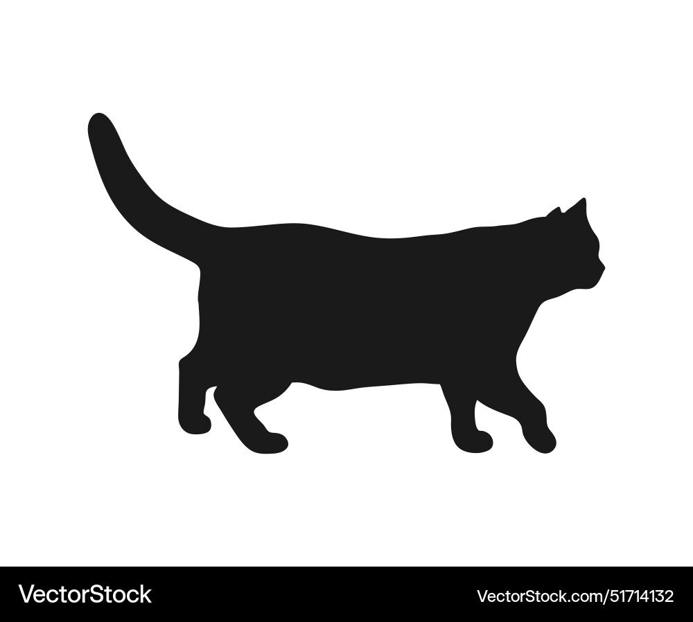Walking cat silhouette isolated on white Vector Image