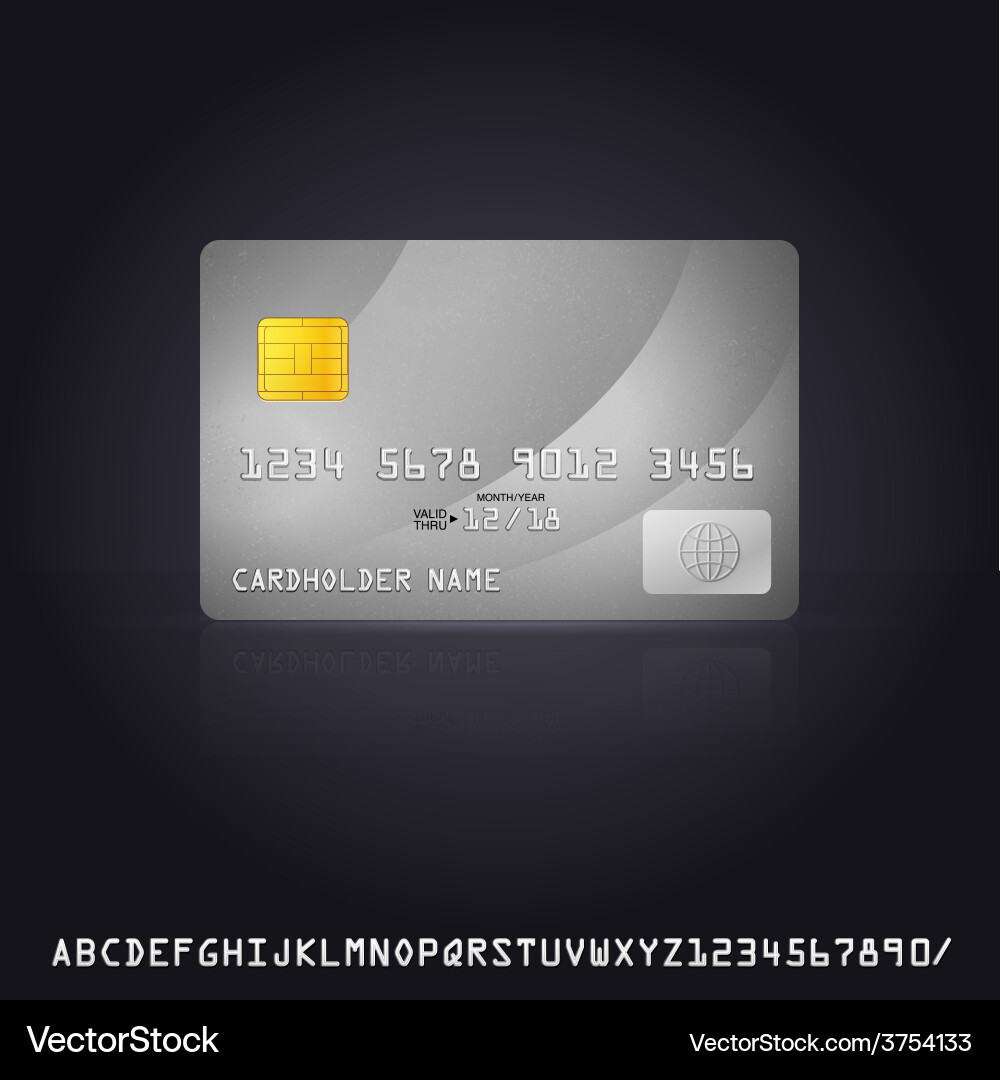 Silver credit card icon Royalty Free Vector Image