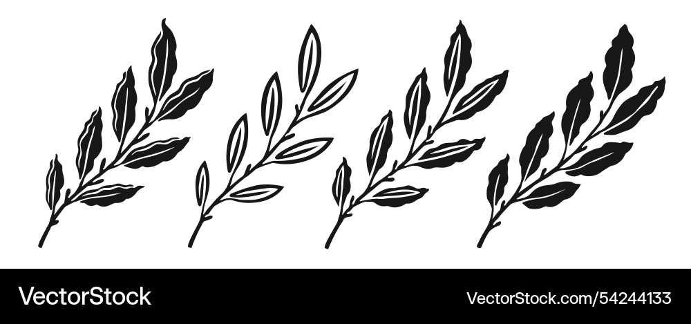 Tree branch with leaves decorative floral pattern Vector Image