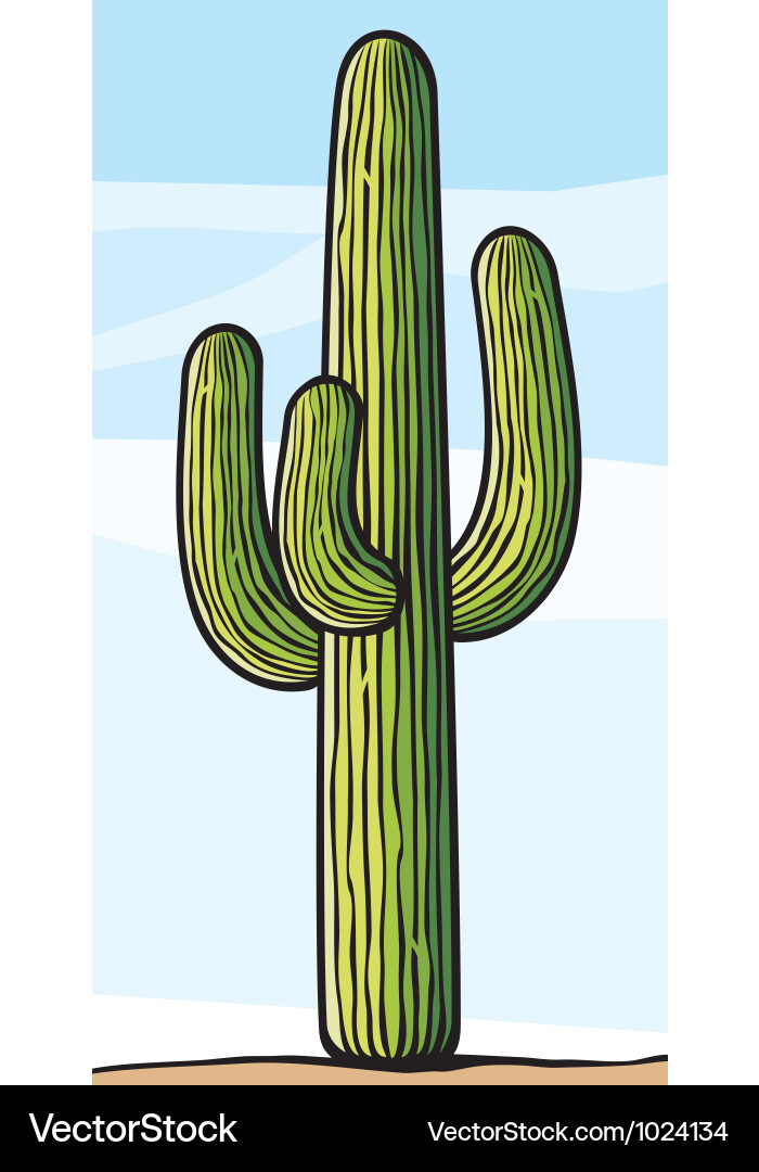 Cactus Royalty Free Vector Image - VectorStock