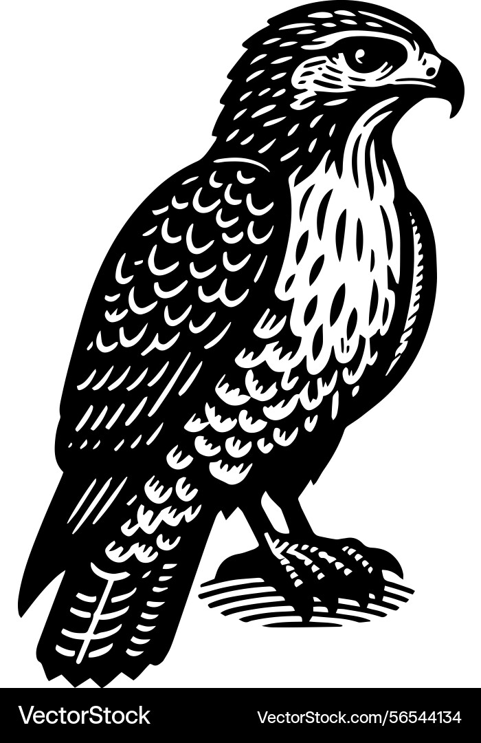 Simple red-tailed hawk side view icon vintage Vector Image