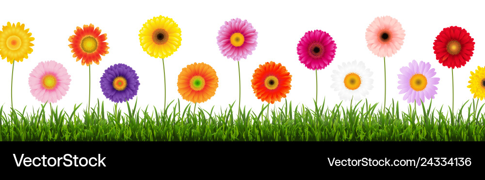 Border color gerber Royalty Free Vector Image - VectorStock