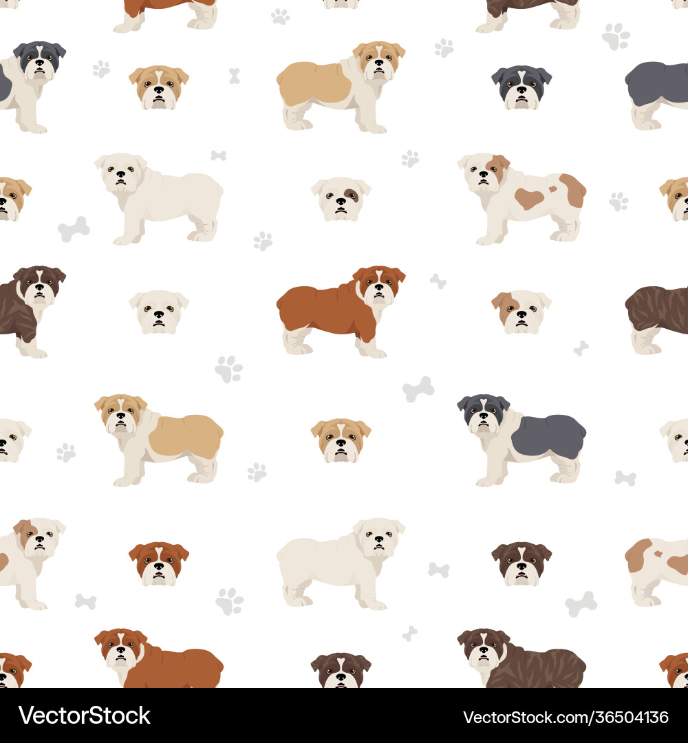 English bulldog seamless pattern different poses Vector Image