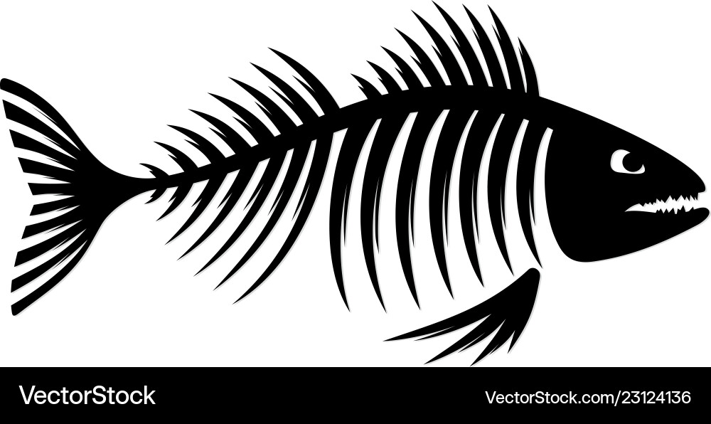 Skeleton of fish Royalty Free Vector Image - VectorStock