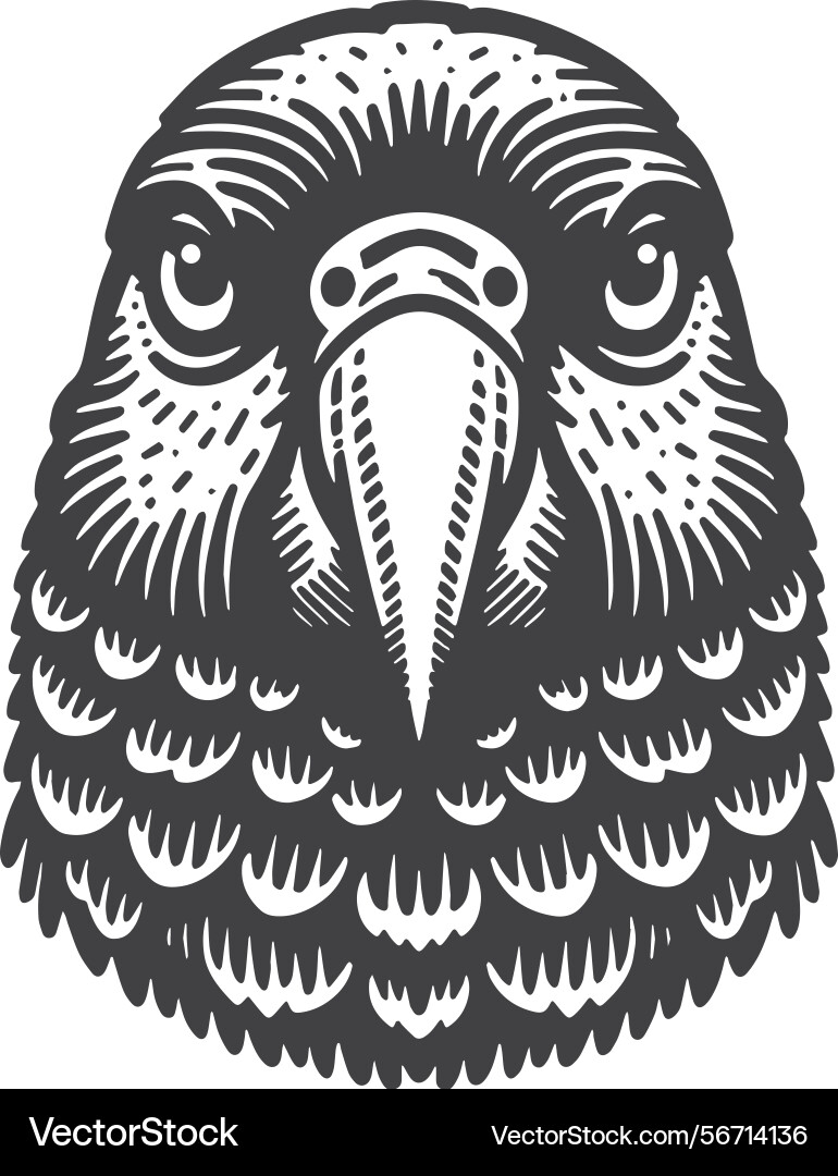 Vintage hand-drawn parrot front view tropical Vector Image