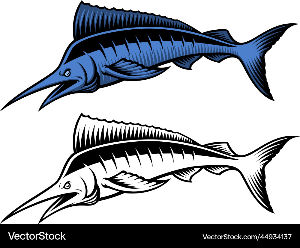 A marlin Royalty Free Vector Image - VectorStock