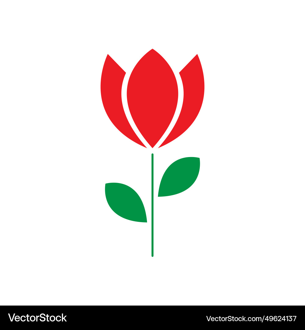 Colorful rose flower logo design image Royalty Free Vector