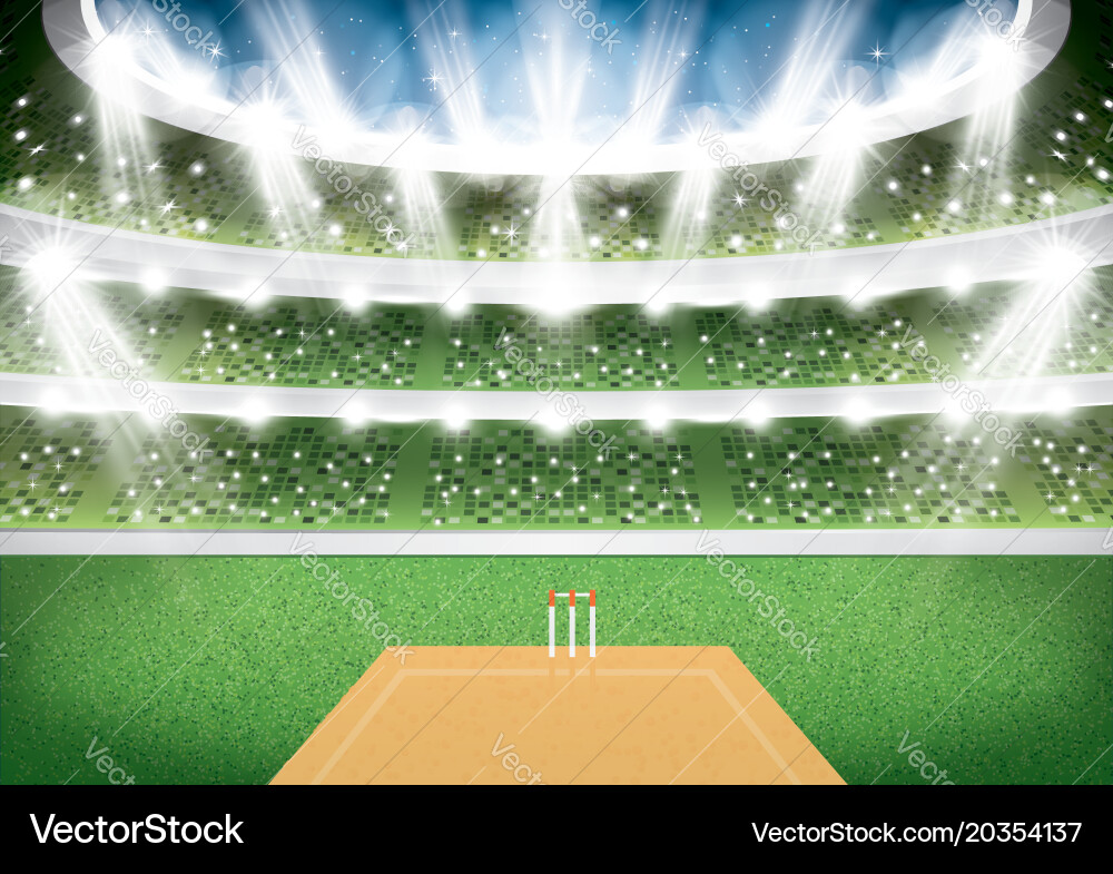 Cricket stadium with spotlights Royalty Free Vector Image