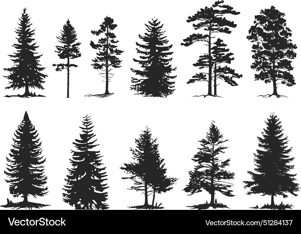 Vintage isolated trees and forest black Royalty Free Vector