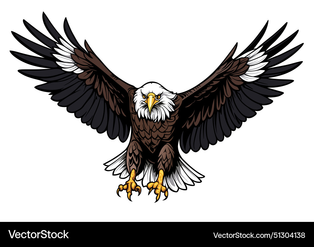Front view of flying bald eagle Royalty Free Vector Image