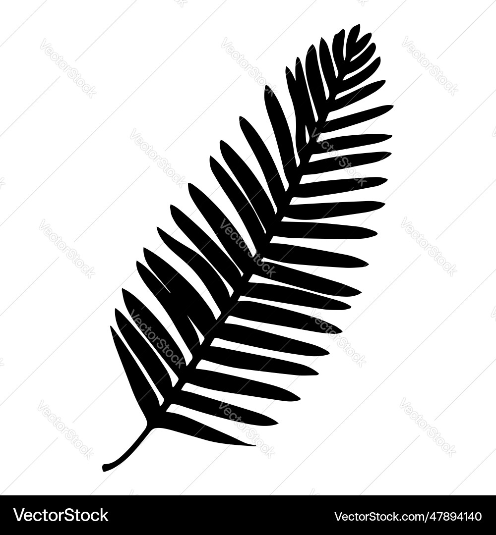 Palm tree leaf silhouette Royalty Free Vector Image
