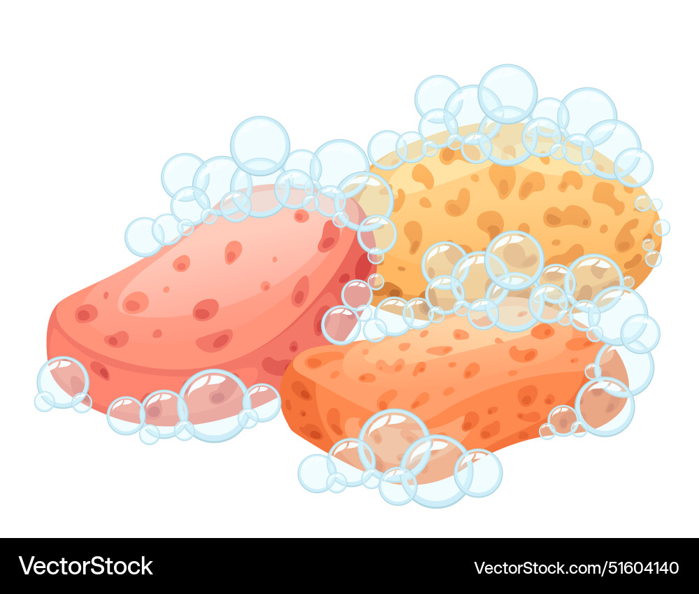 Set of soft bath sponge with soap bubbles hygiene Vector Image