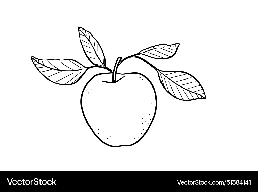 Retro apple engraved great design for any Vector Image