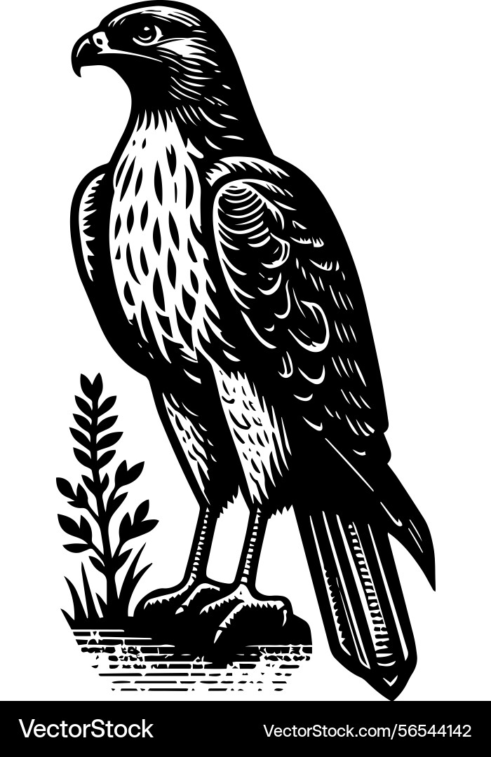 Simple red-tailed hawk side view icon vintage Vector Image