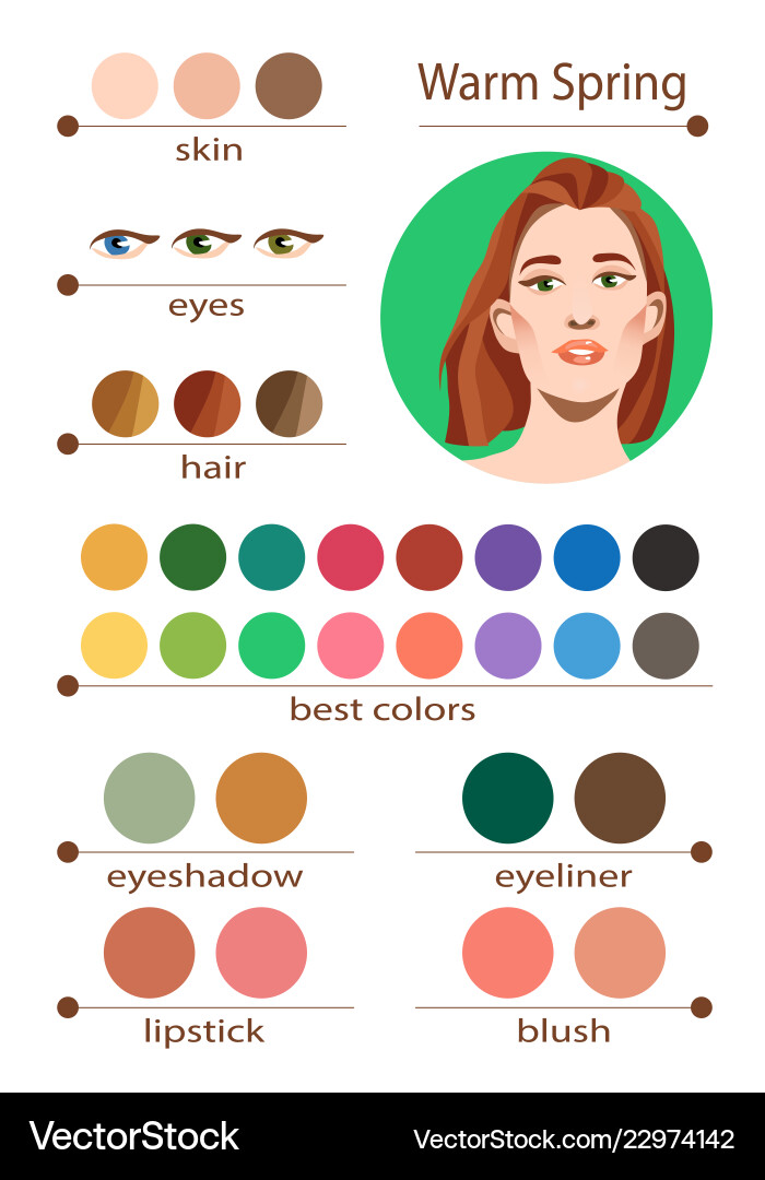 Warm Spring Color Palette - Skin Tone Analysis Vector Image