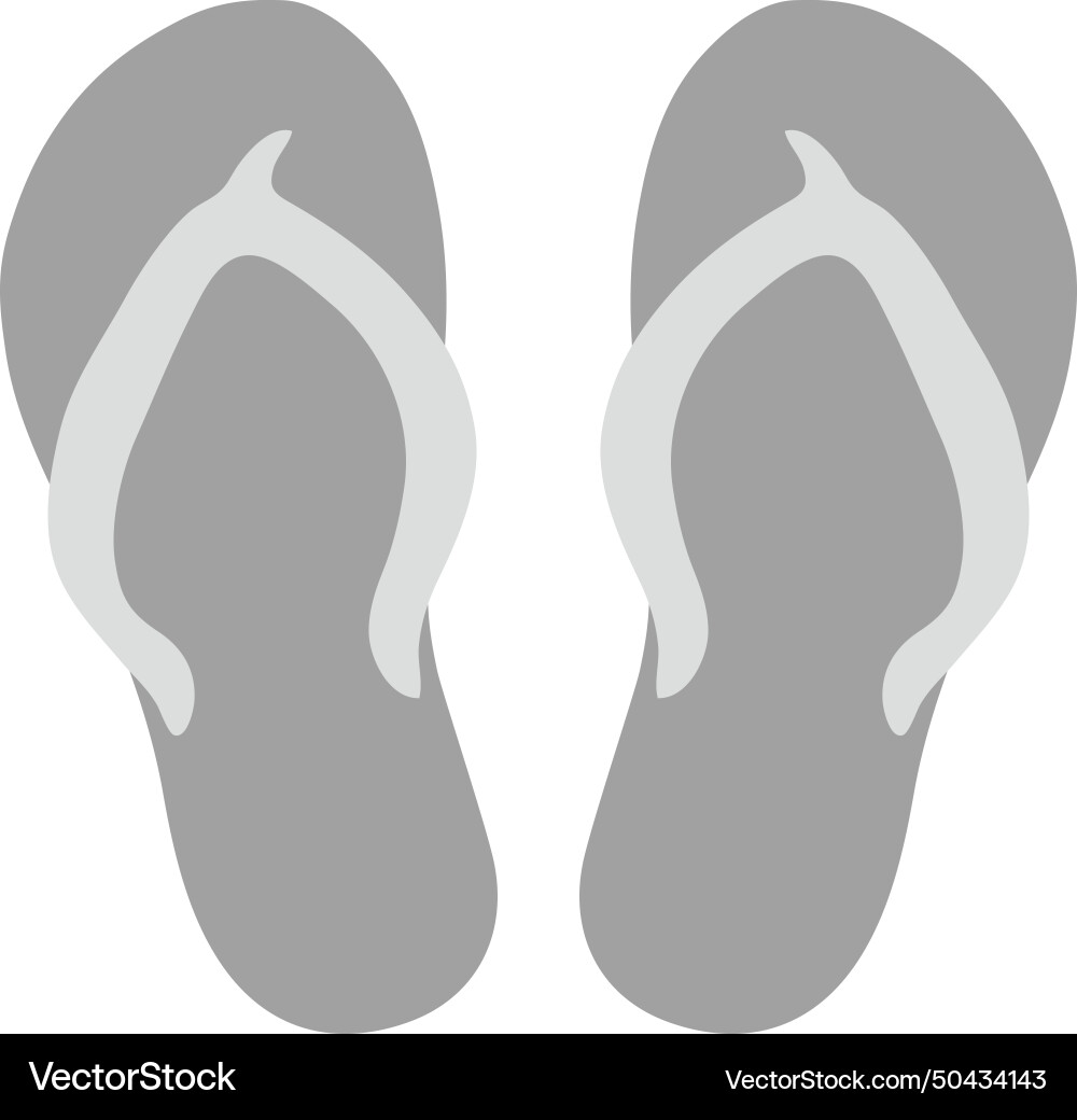 Flip flops icon image Royalty Free Vector Image