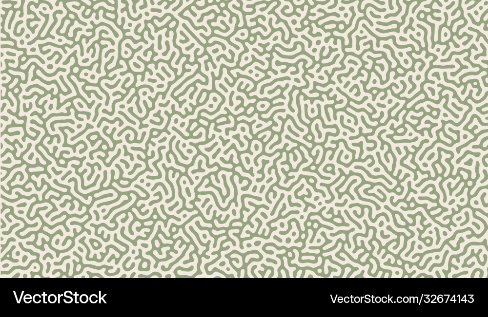 Organic Turing Pattern Royalty Free Vector Image