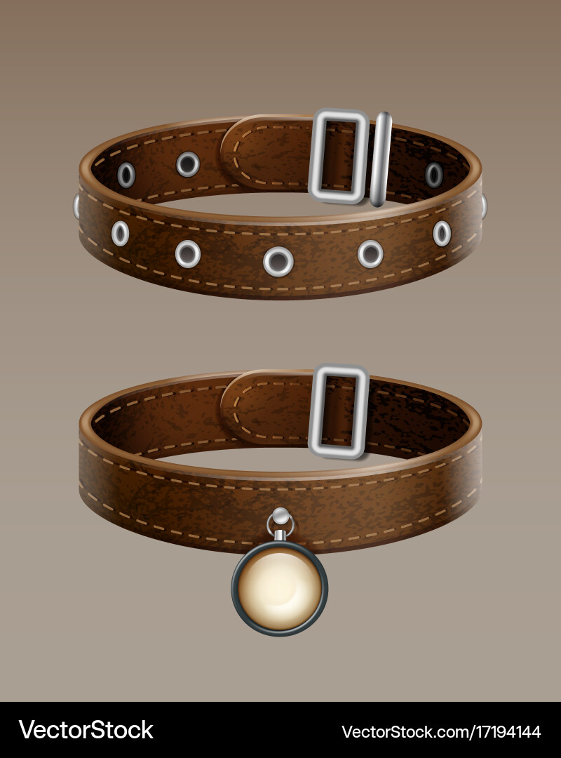 Leather collar Royalty Free Vector Image - VectorStock
