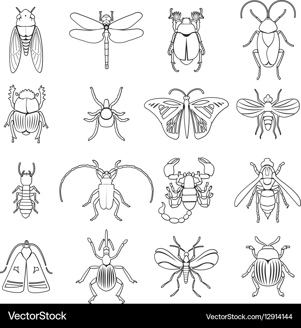 Outline insects icons set Royalty Free Vector Image