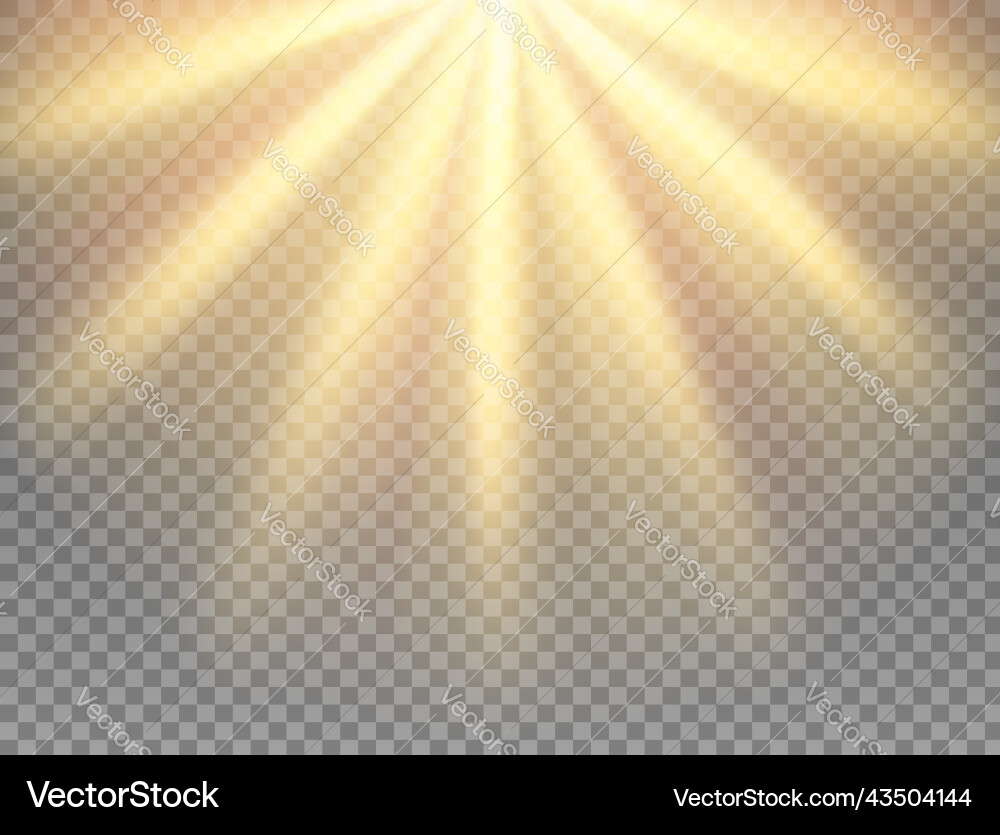 Sun light rays on transparent background sunlight Vector Image