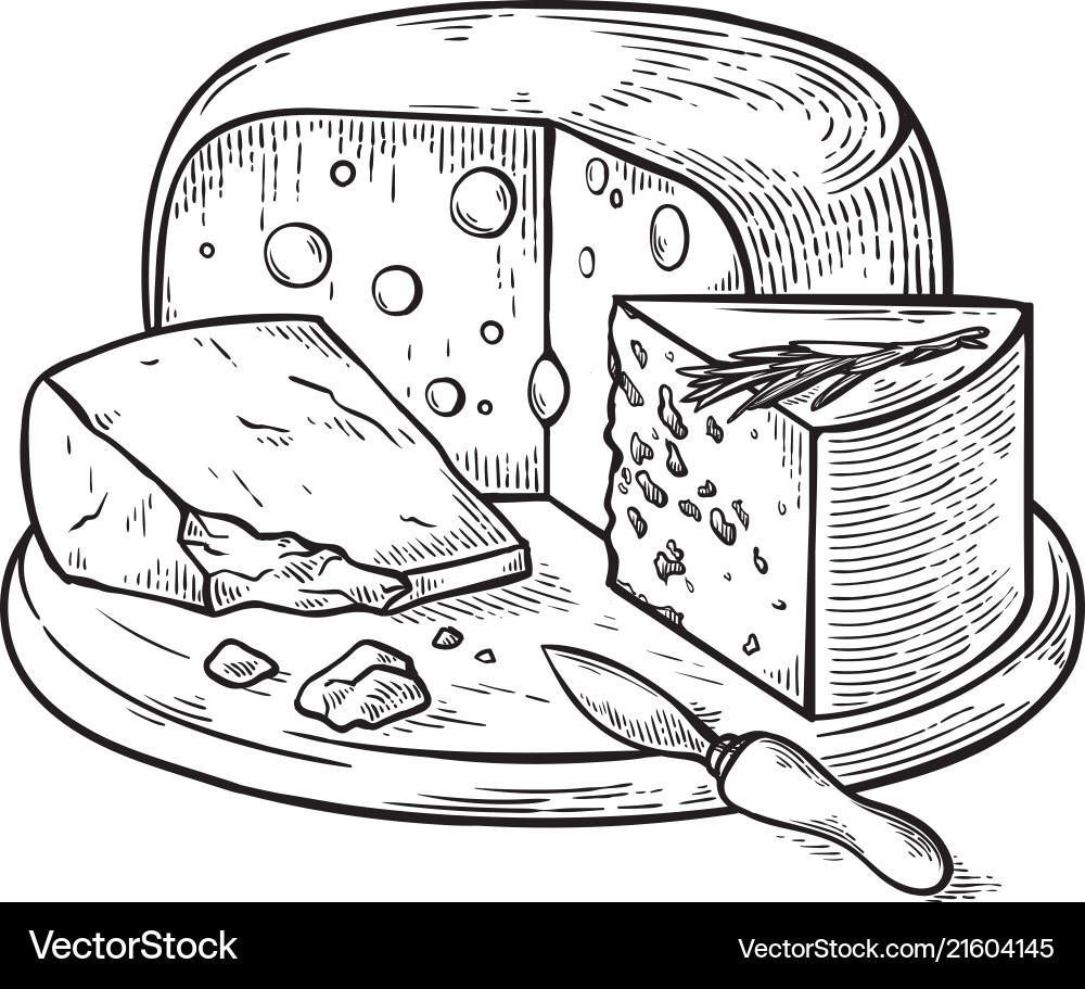 Cheese hand drawn sketch engraving Royalty Free Vector Image