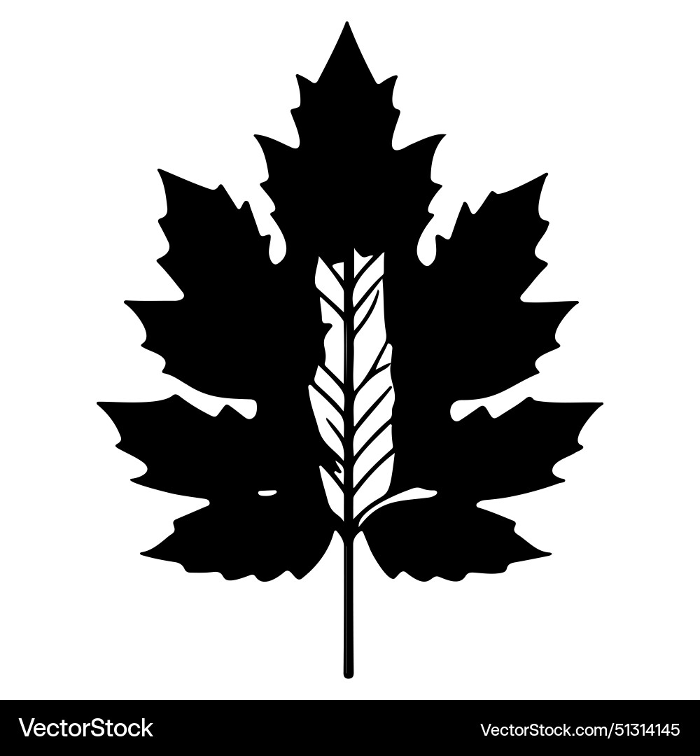 Maple leaf plant floral sketch Royalty Free Vector Image