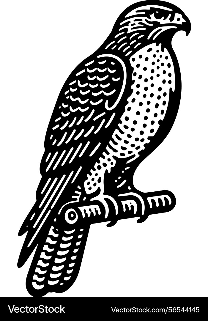 Simple red-tailed hawk perched icon vintage logo Vector Image