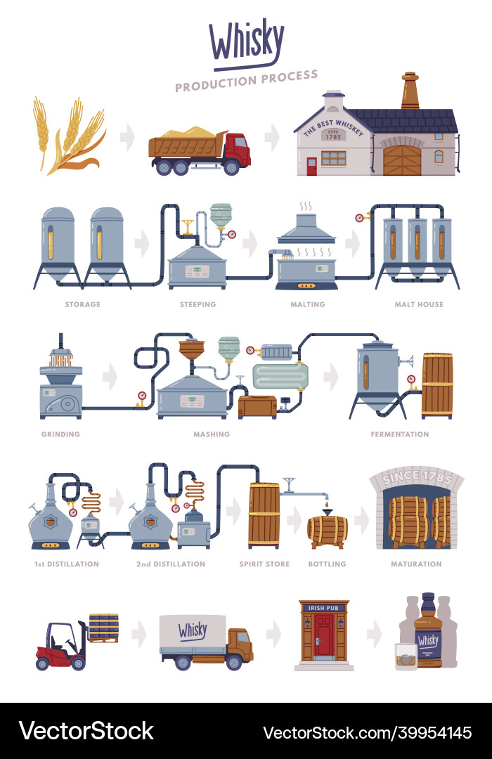 Whiskey production process with distillation Vector Image