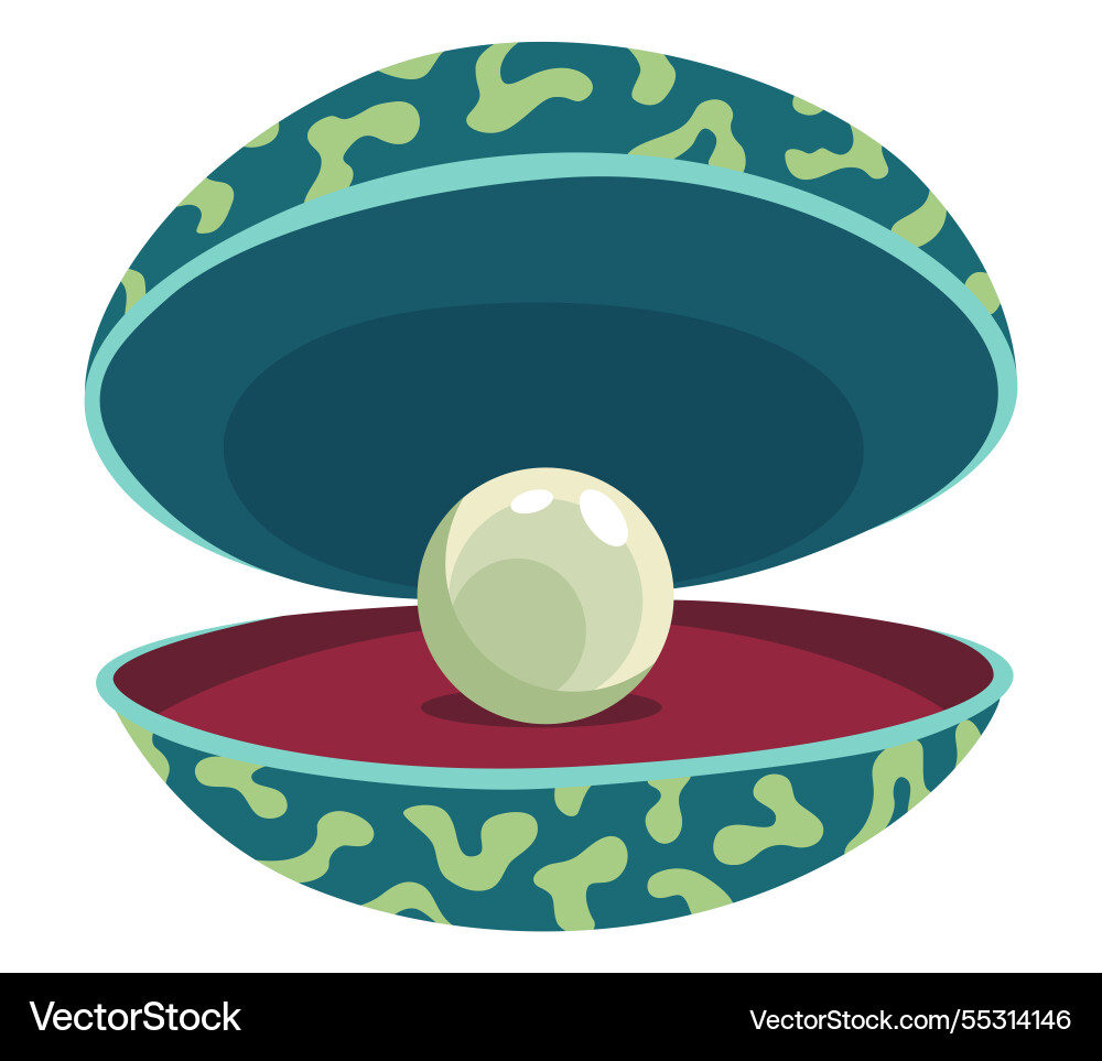 Pearl in seashell open seashels scallop Royalty Free Vector