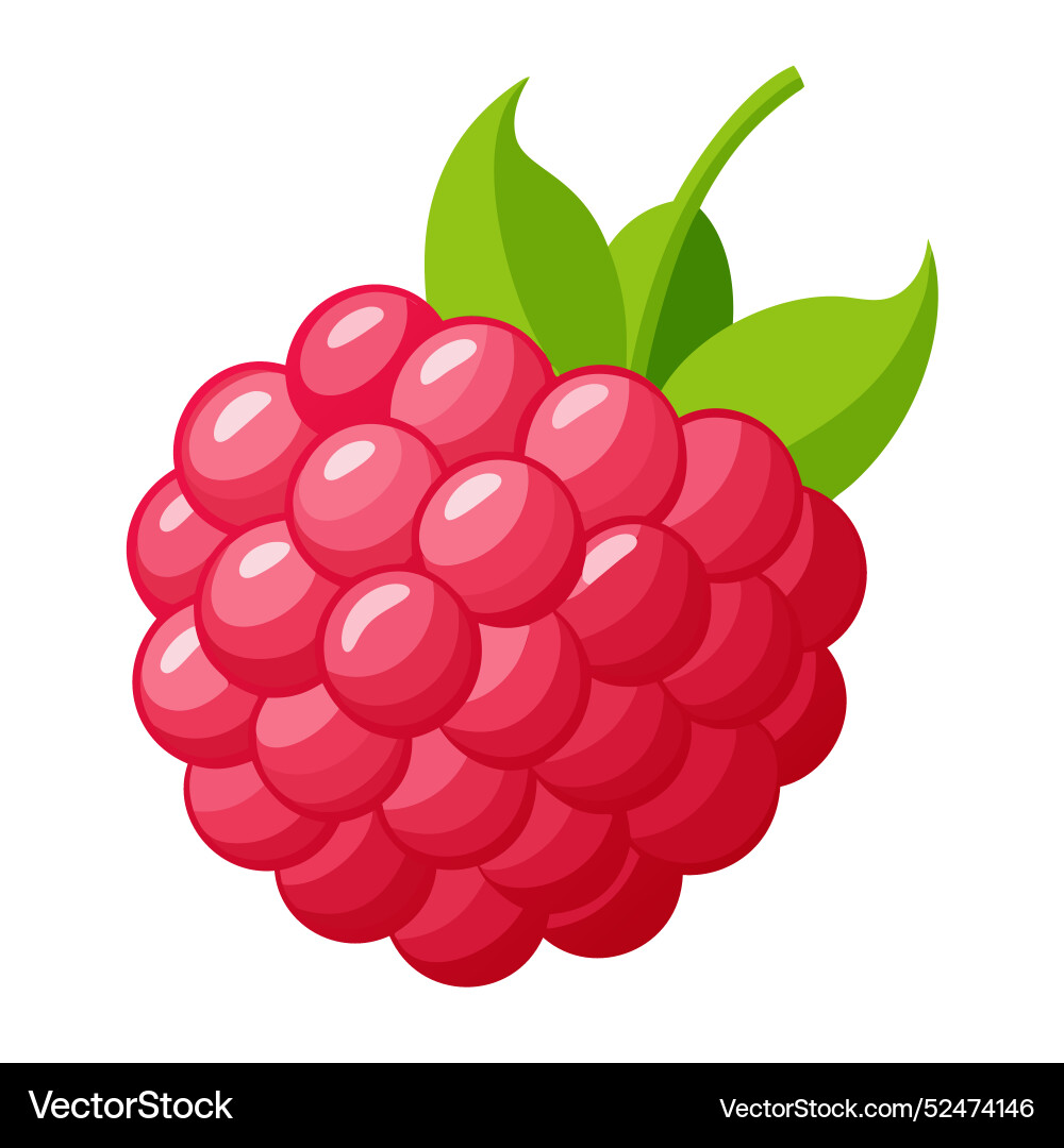 Raspberry colorful fruit modern abstract flat Vector Image